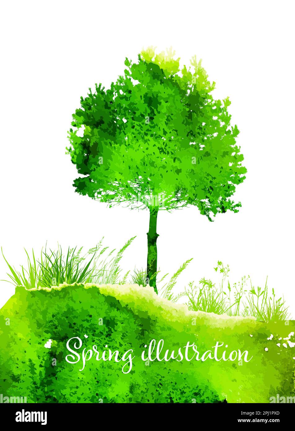Green watercolor tree. Hello Spring. Vector illustration Stock Vector Image & Art - Alamy