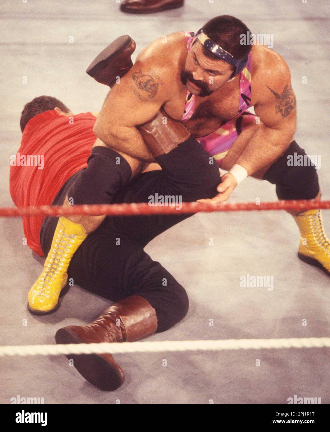 1993 Steiner Bros Quebecers Photo by John Barrett/PHOTOlink Stock Photo ...