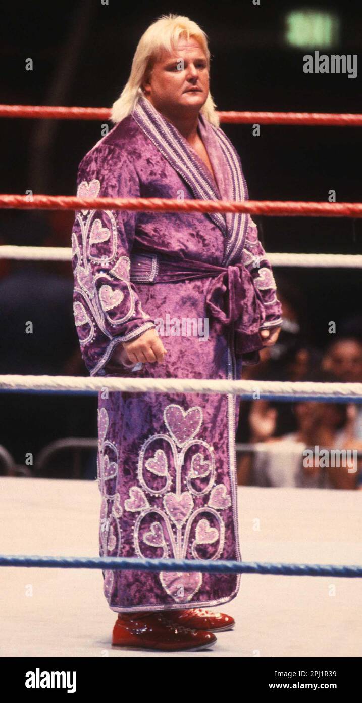 1987 Greg Valentime Photo by John Barrett/PHOTOlink Stock Photo - Alamy