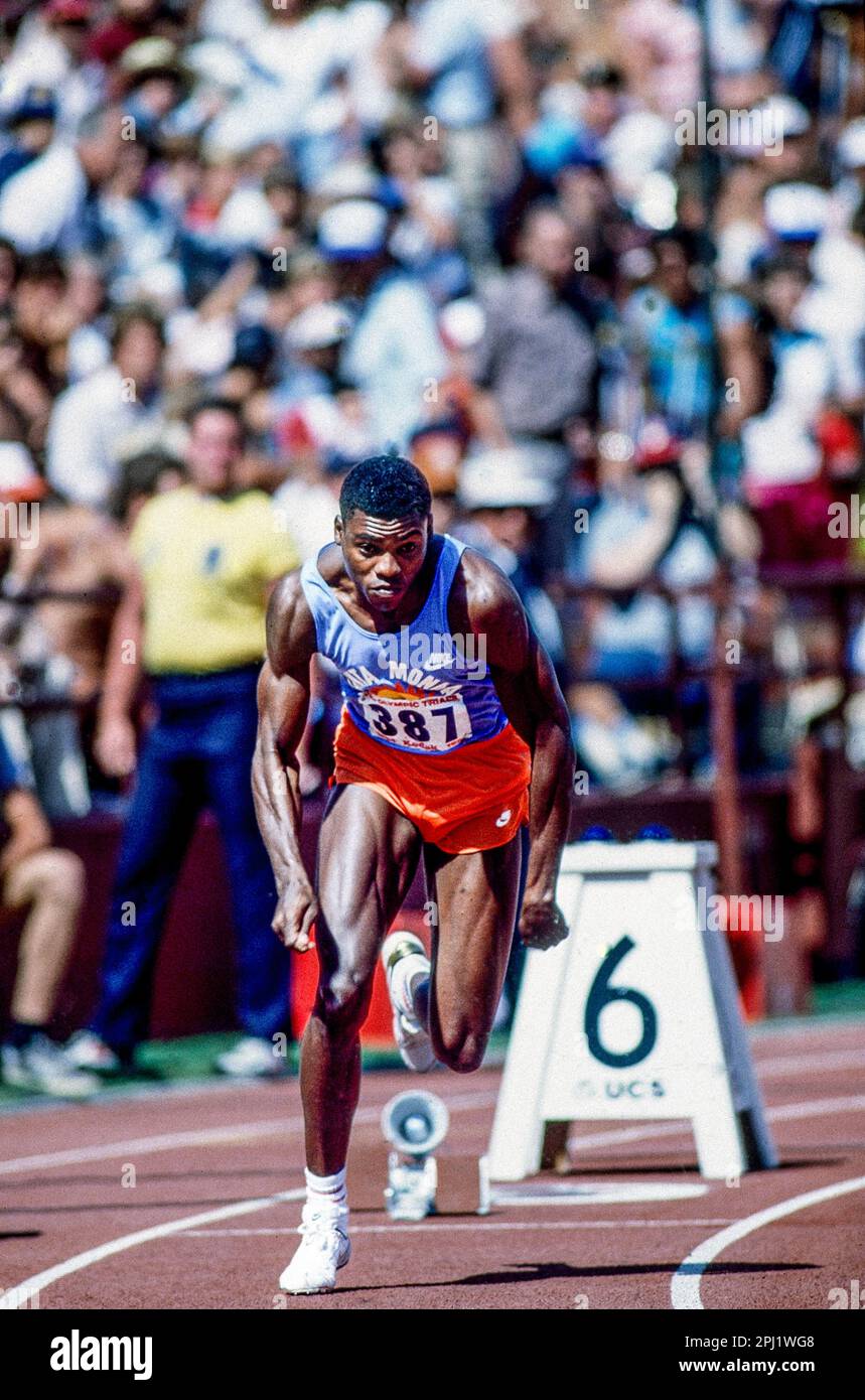 Carl Lewis (USA) competing at the 1984 United States Olympic team ...