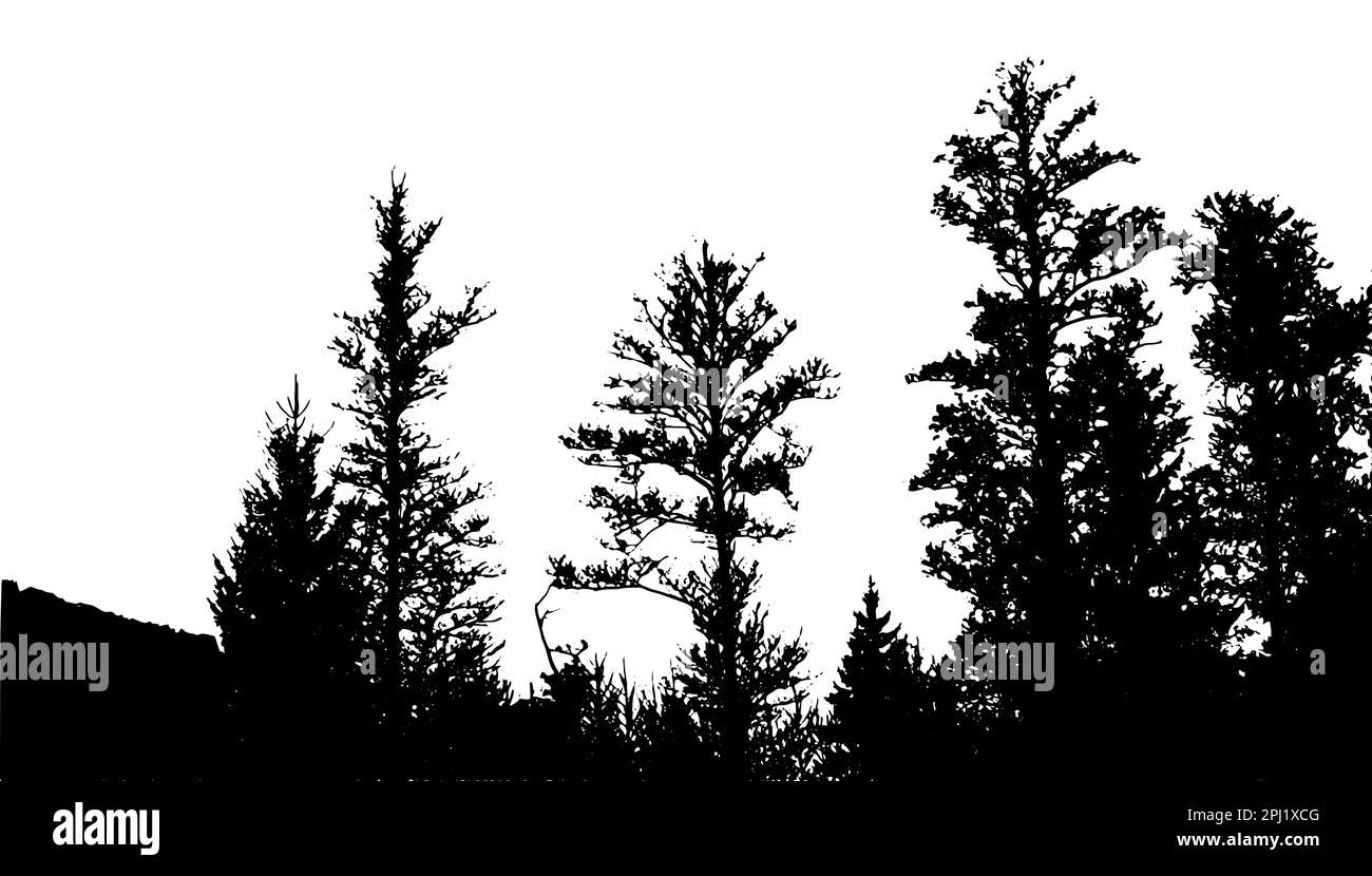 Forest silhouette . Tree silhouette panorama. Vector illustration Stock ...