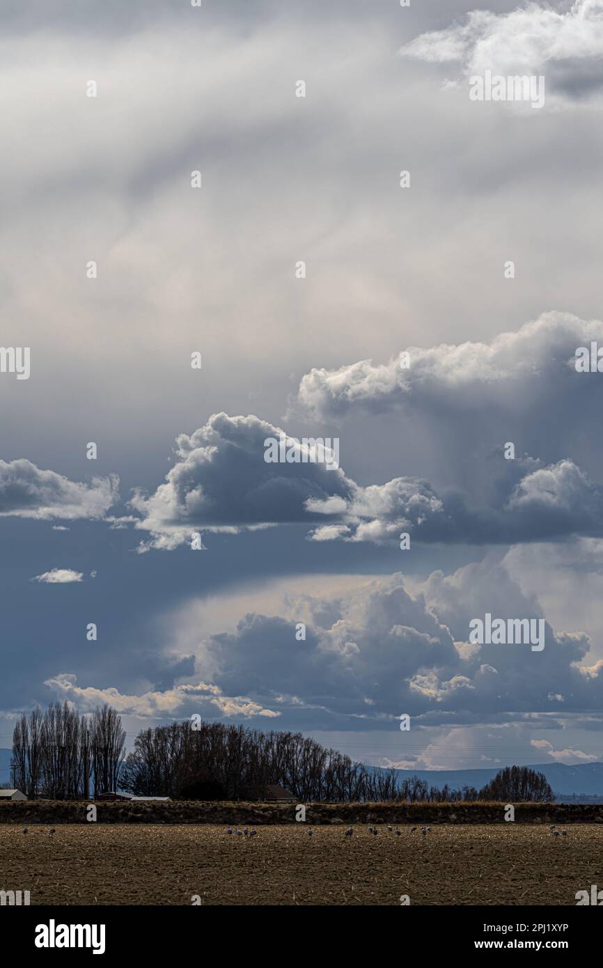 Relaxing in the late afternoon sun hi-res stock photography and images ...