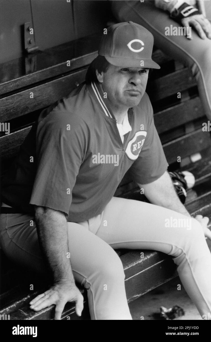 Professional baseball player, Pete Rose in a managerial position Stock ...