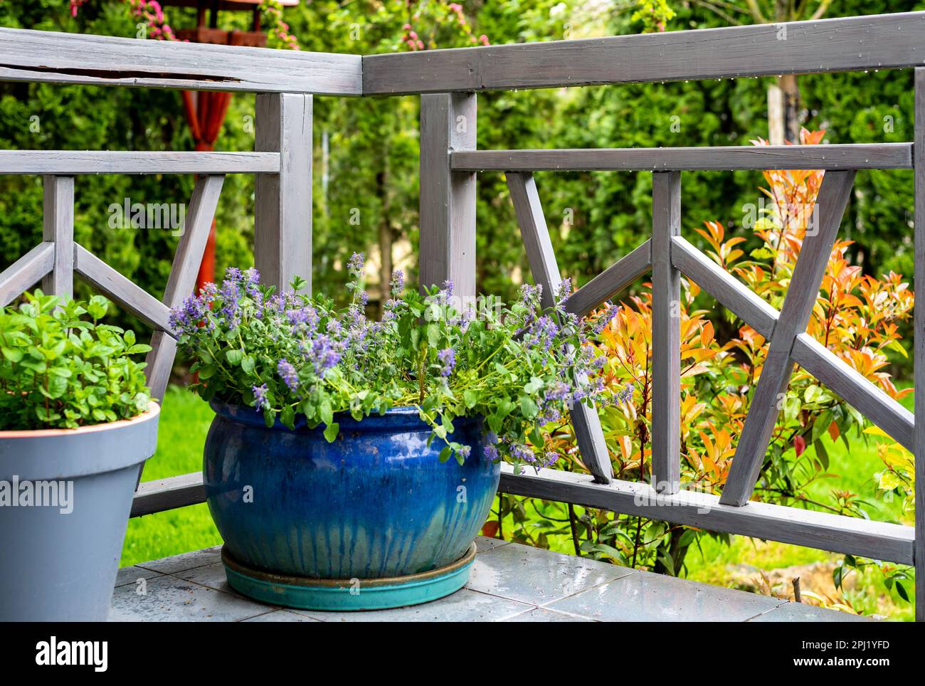 terrace area with a gray railing and a blue flower pot Stock Photo - Alamy