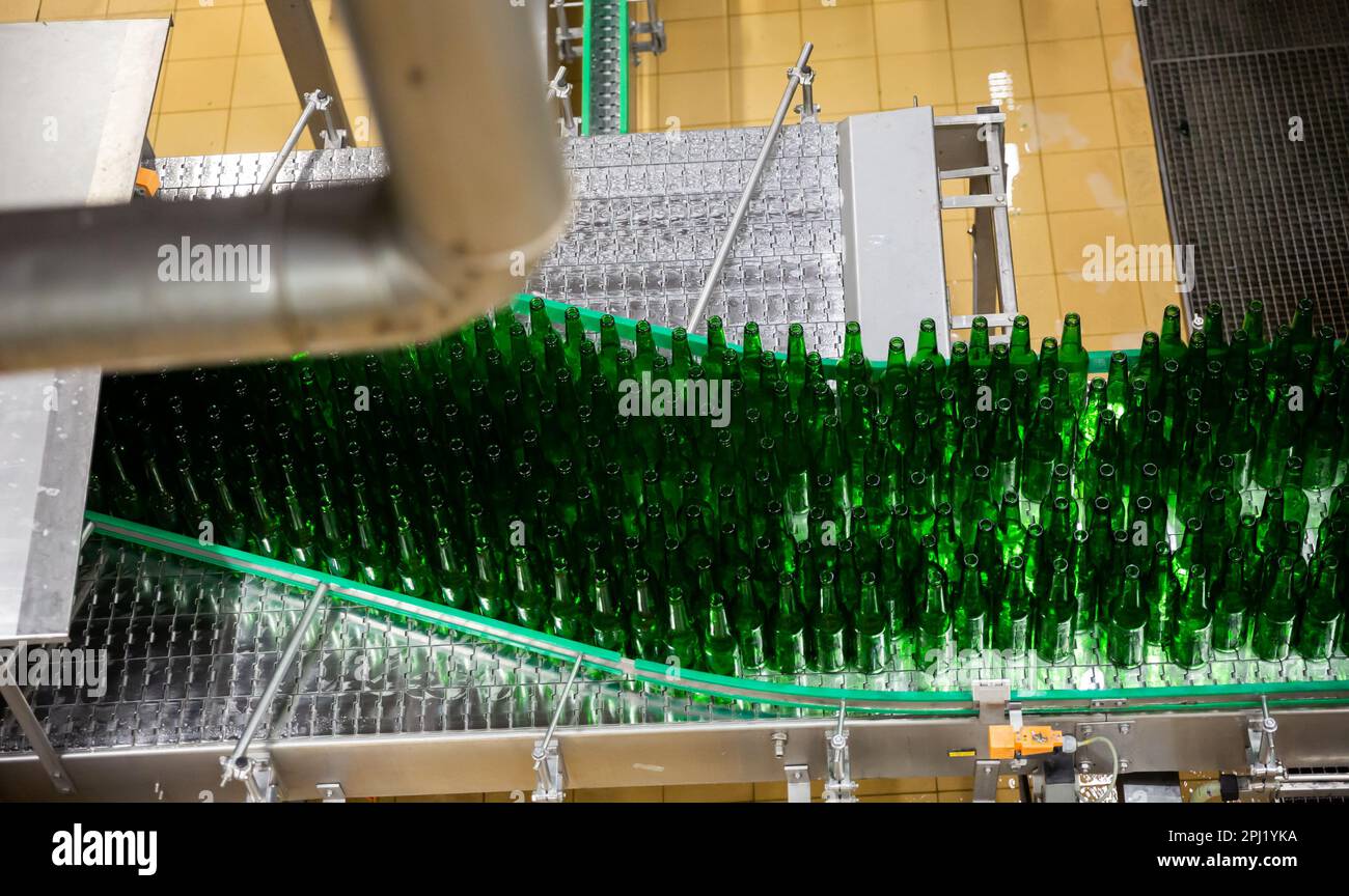 Bottles of beer on bottling line Stock Photo - Alamy