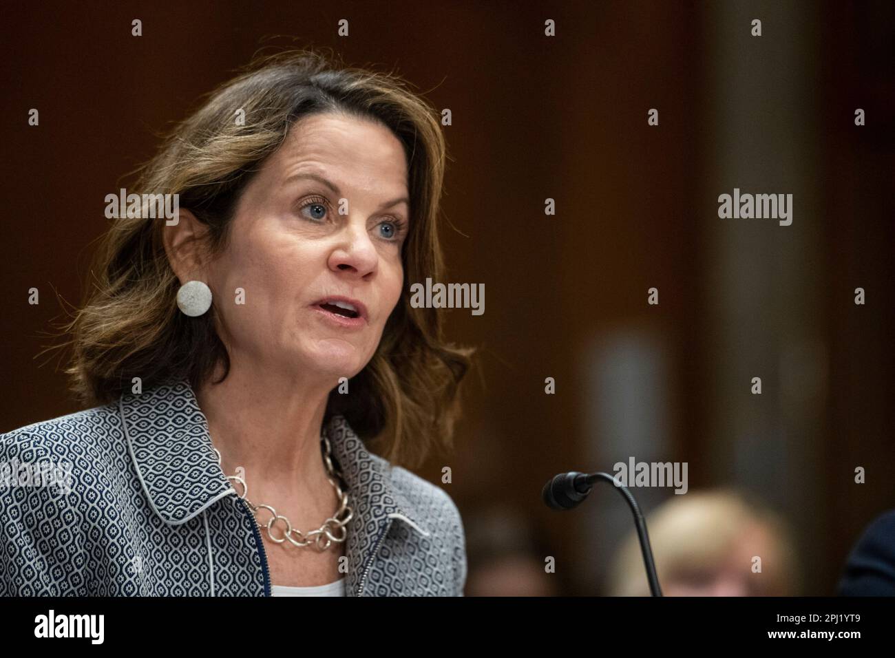 Washington, Vereinigte Staaten. 30th Mar, 2023. Robin Dunnigan appears before a Senate Committee ...