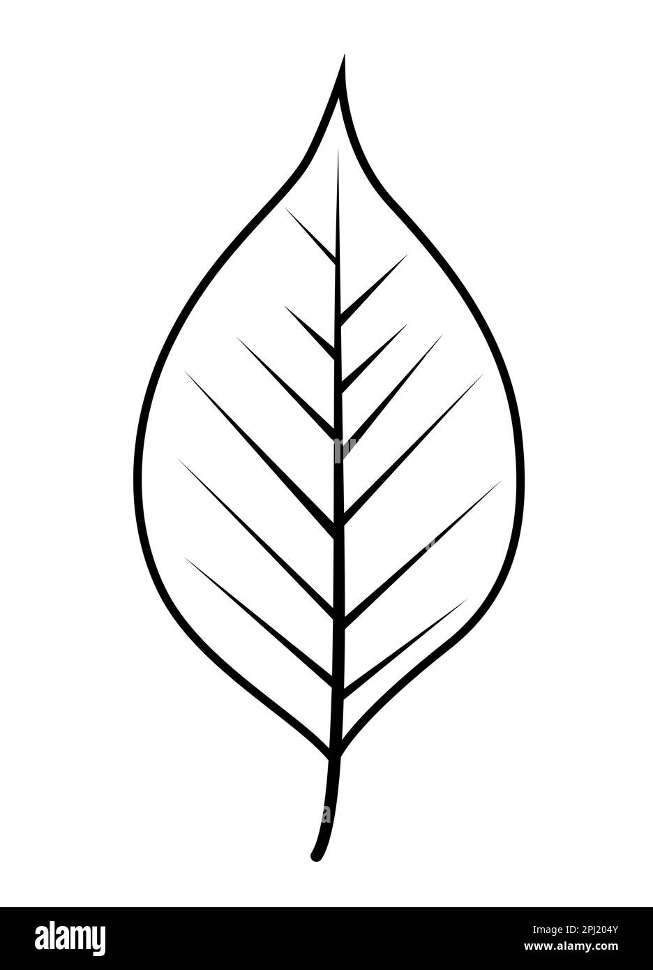 Simple Leaf Vector Illustration EPS10 Stock Vector Image & Art - Alamy