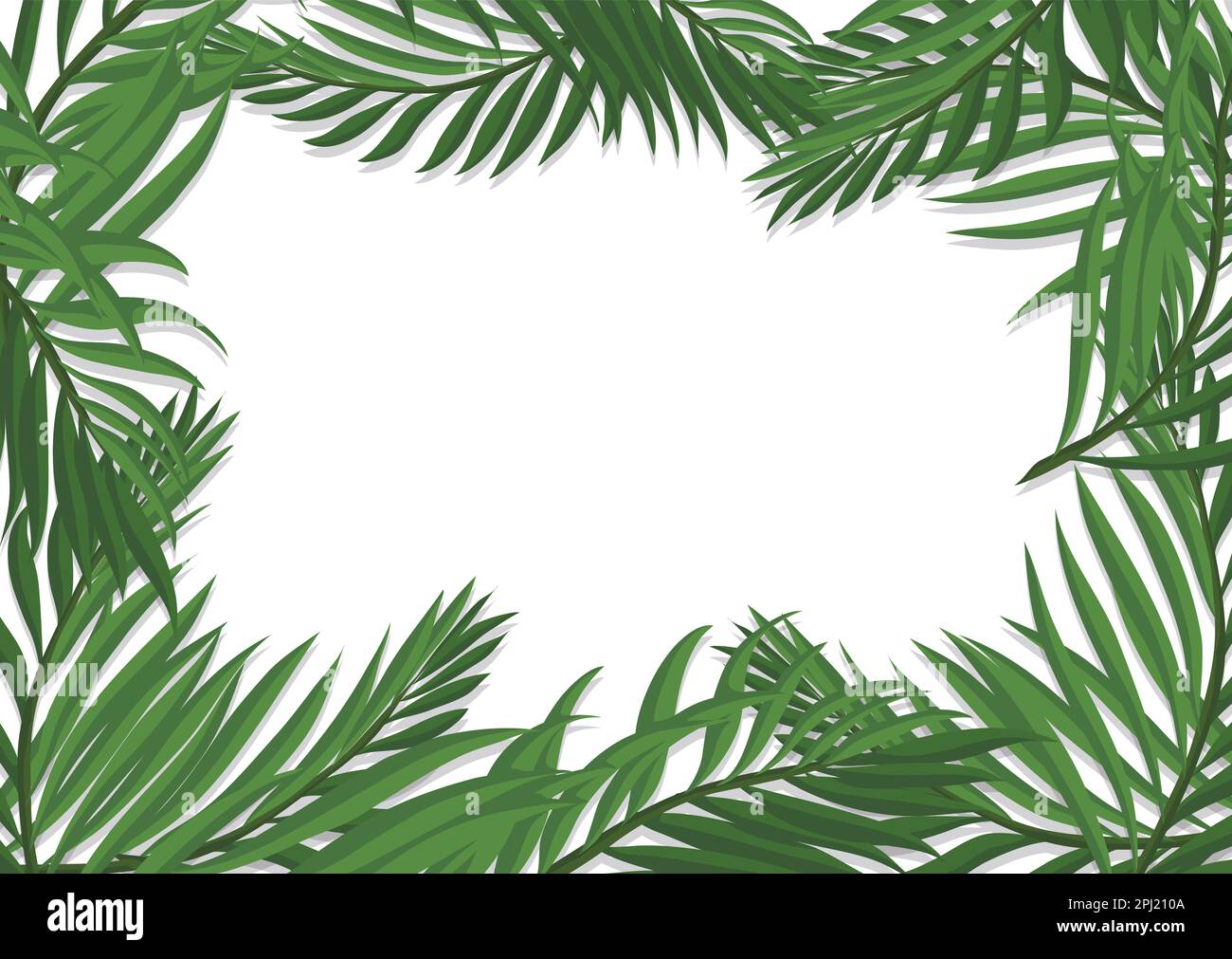 Palm Branch Template Buy Palm Leaf SVG PNG DXF Printable Pdf Palm