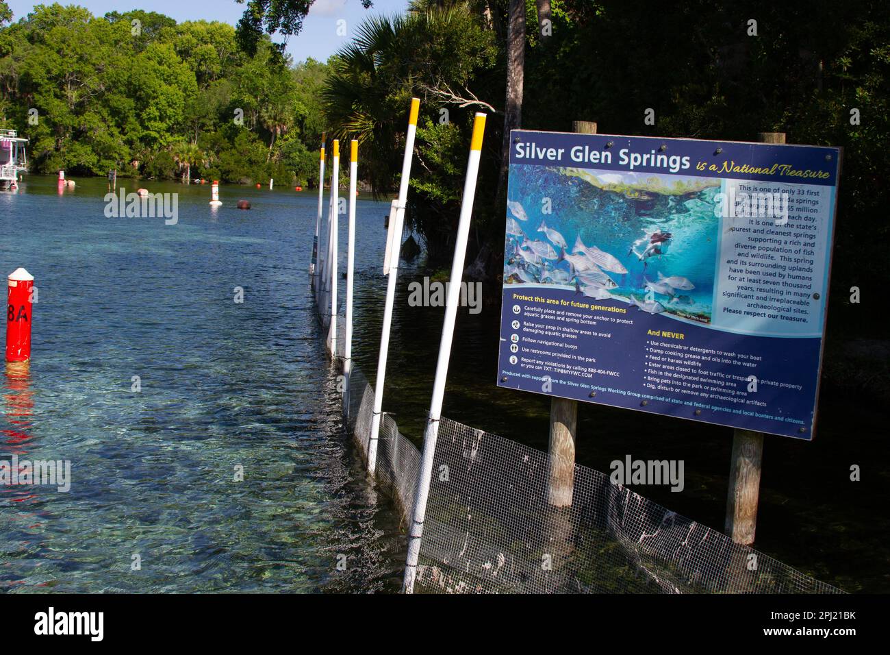 Silver Glen Springs water entrance Stock Photo - Alamy