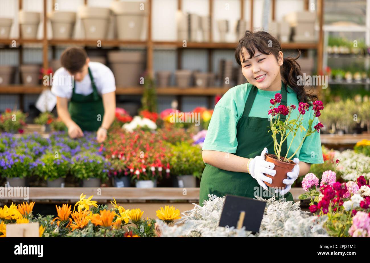 female worker in flower shop gets acquainted with assortment and ...