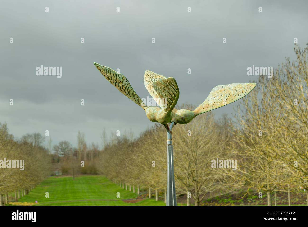 Arts Culture and Inspiration from Nature / Natural Wind Power Energy ...