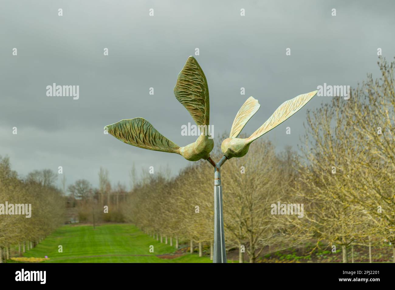 Arts Culture and Inspiration from Nature / Natural Wind Power Energy ...