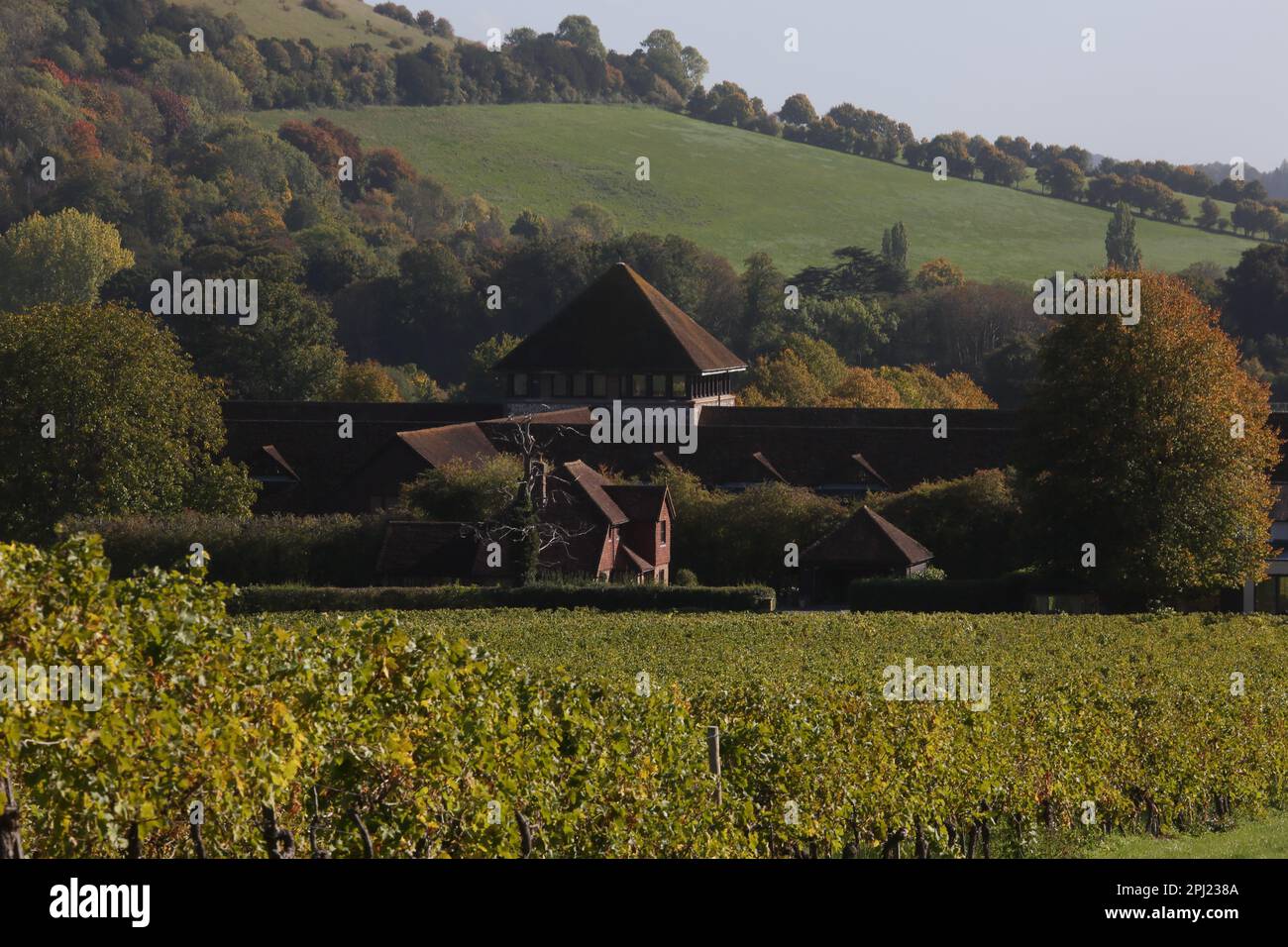 Denbies Wine Estate Dorking Surrey England Stock Photo - Alamy