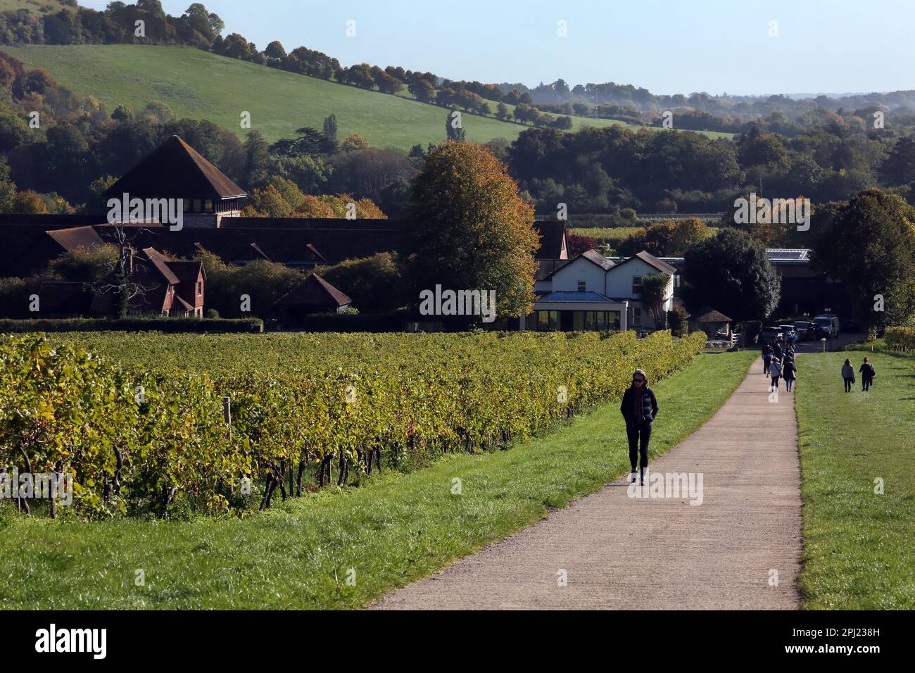 Visitors at Denbies Wine Estate Dorking Surrey England Stock Photo - Alamy