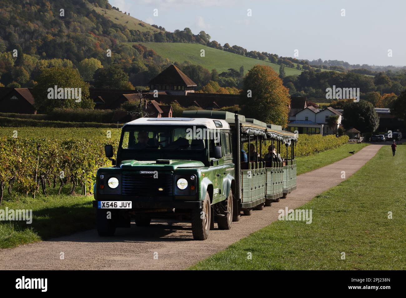 Visitors on Vineyard tour at Denbies Wine Estate Dorking Surrey England ...