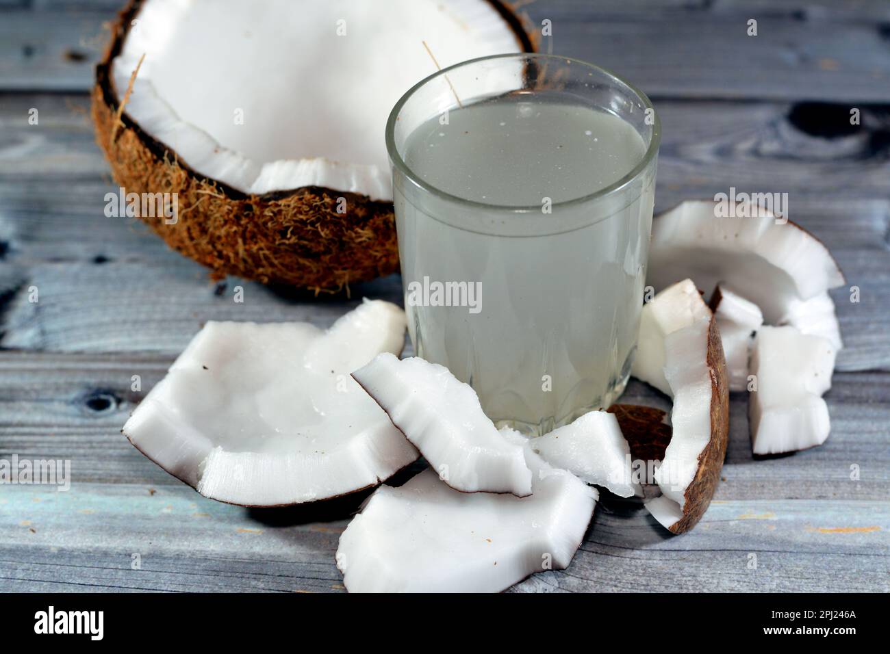 Coconut fruit cocoanut (Cocos nucifera) of the palm tree family ...