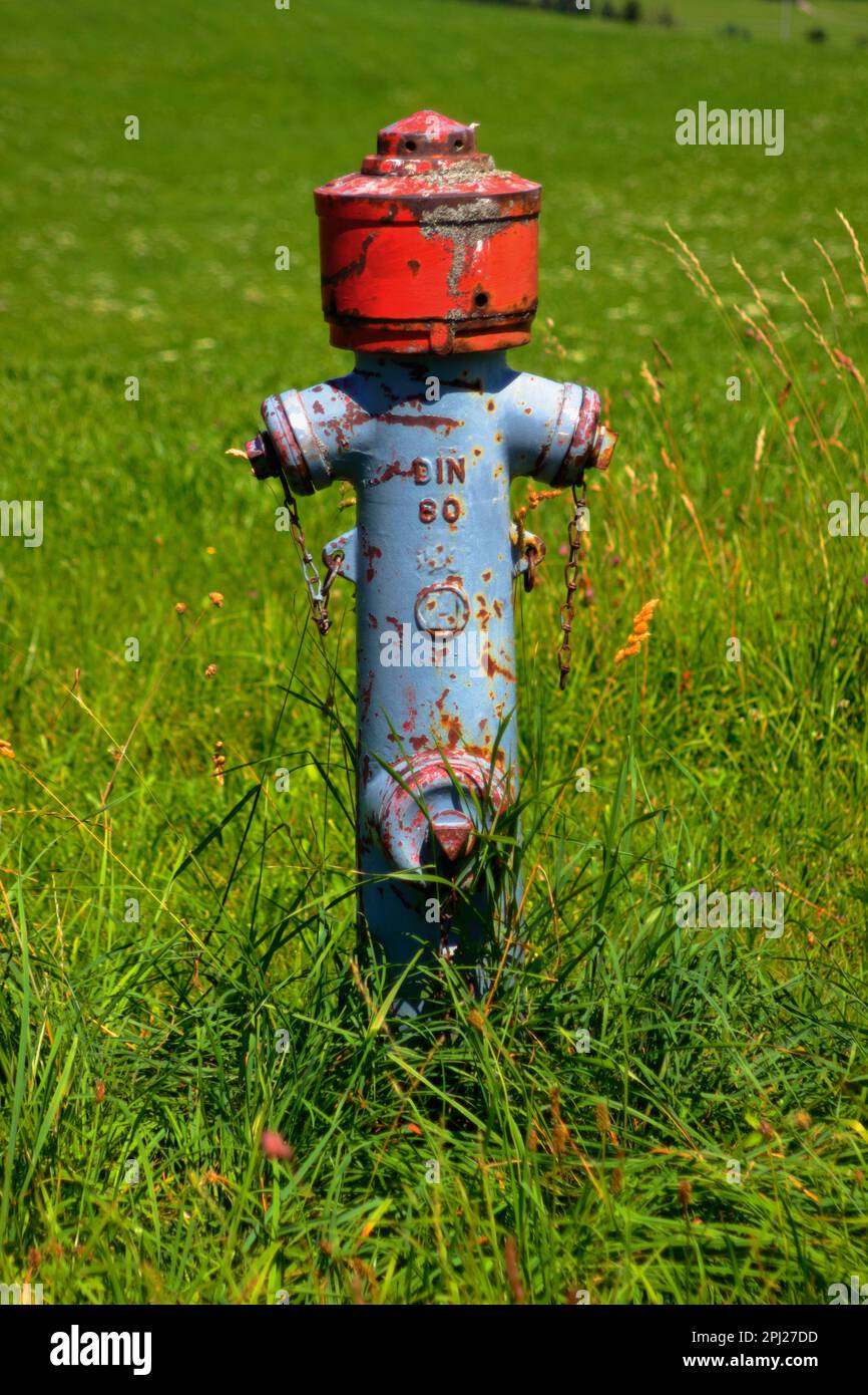Hydrant On Green Field Stock Photo - Alamy