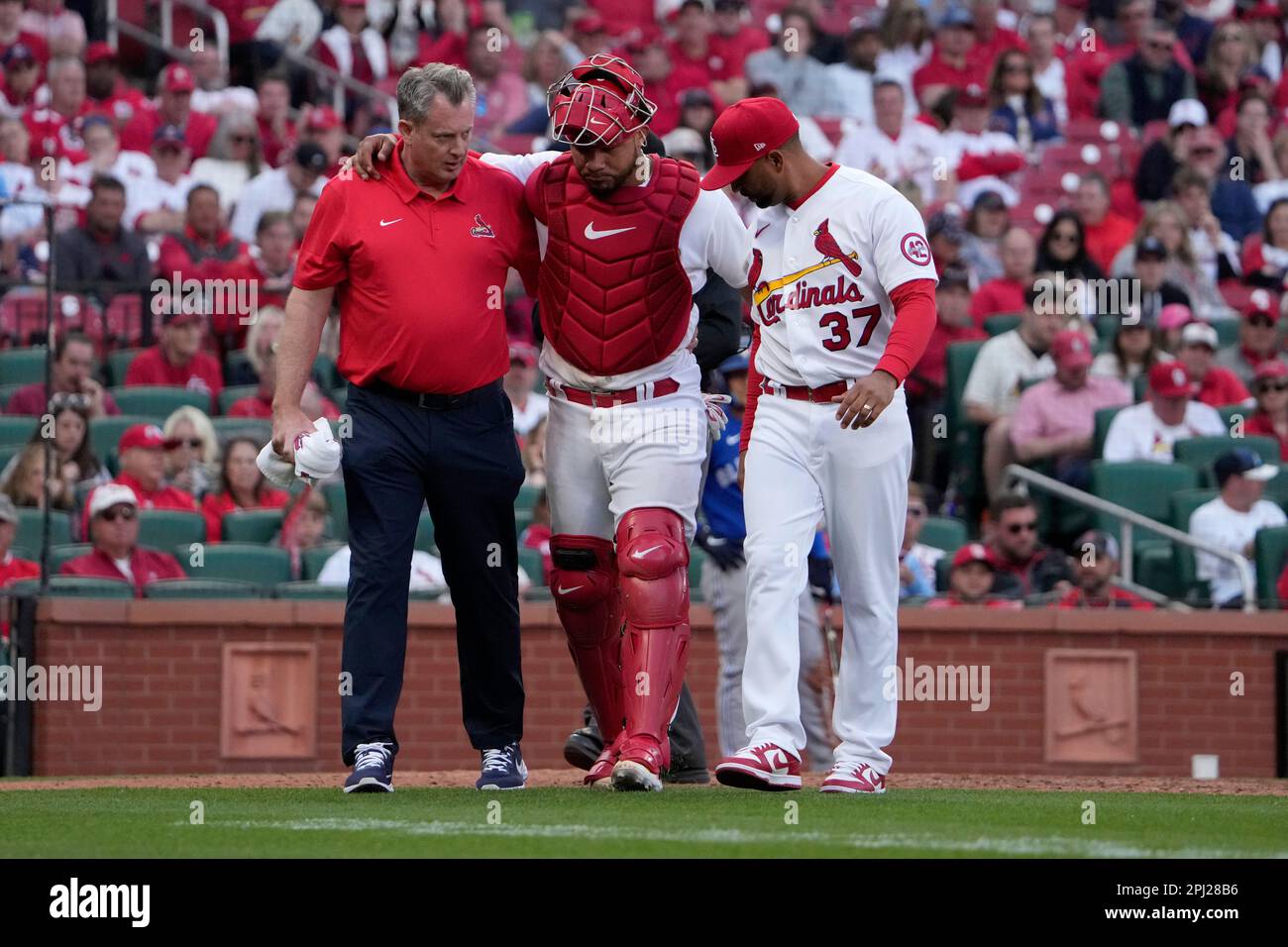 St. Louis Cardinals catcher Willson Contreras, center, leaves a ...