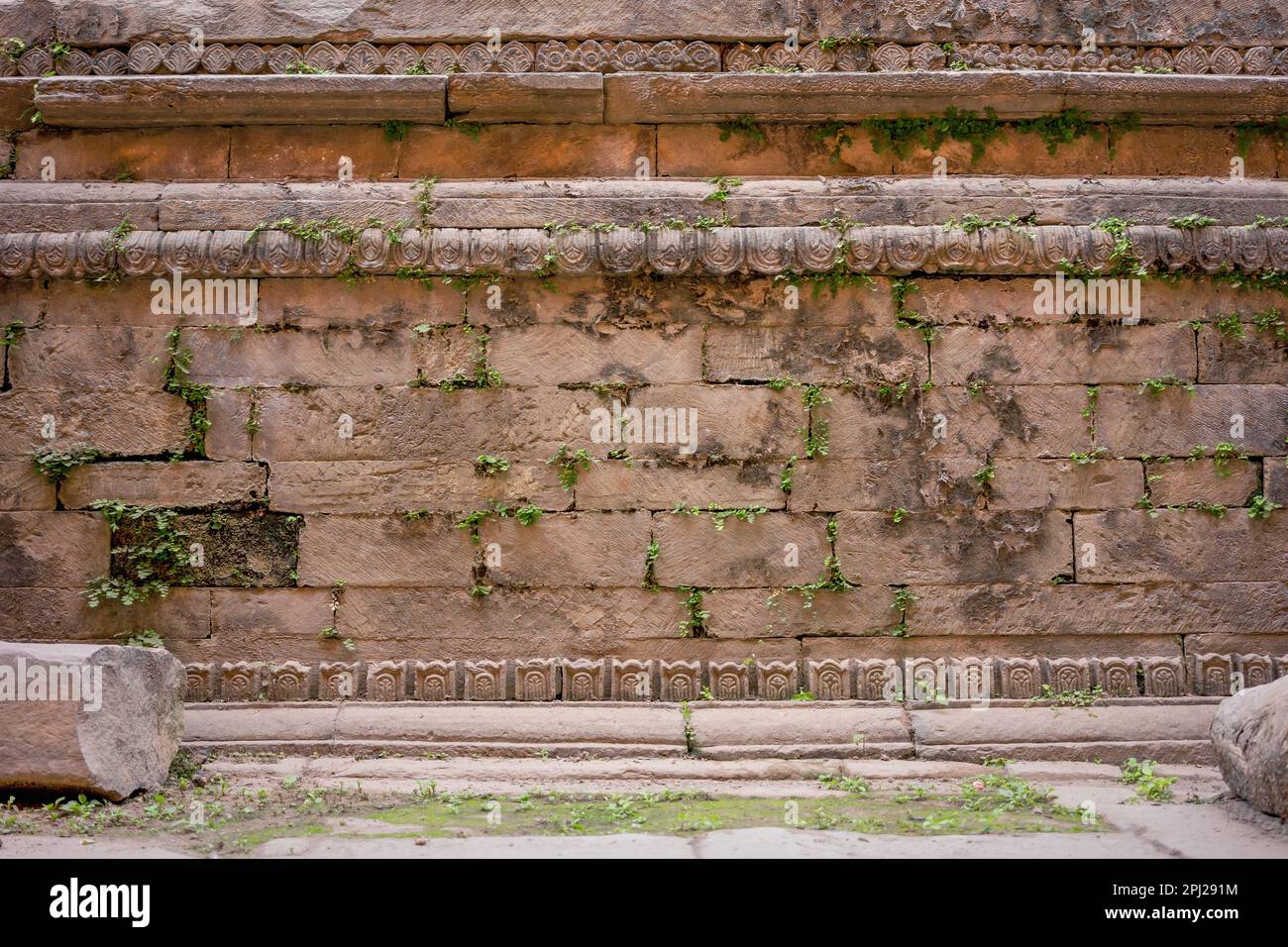 Frontal view of an old brick temple wall with a few plants in the ...