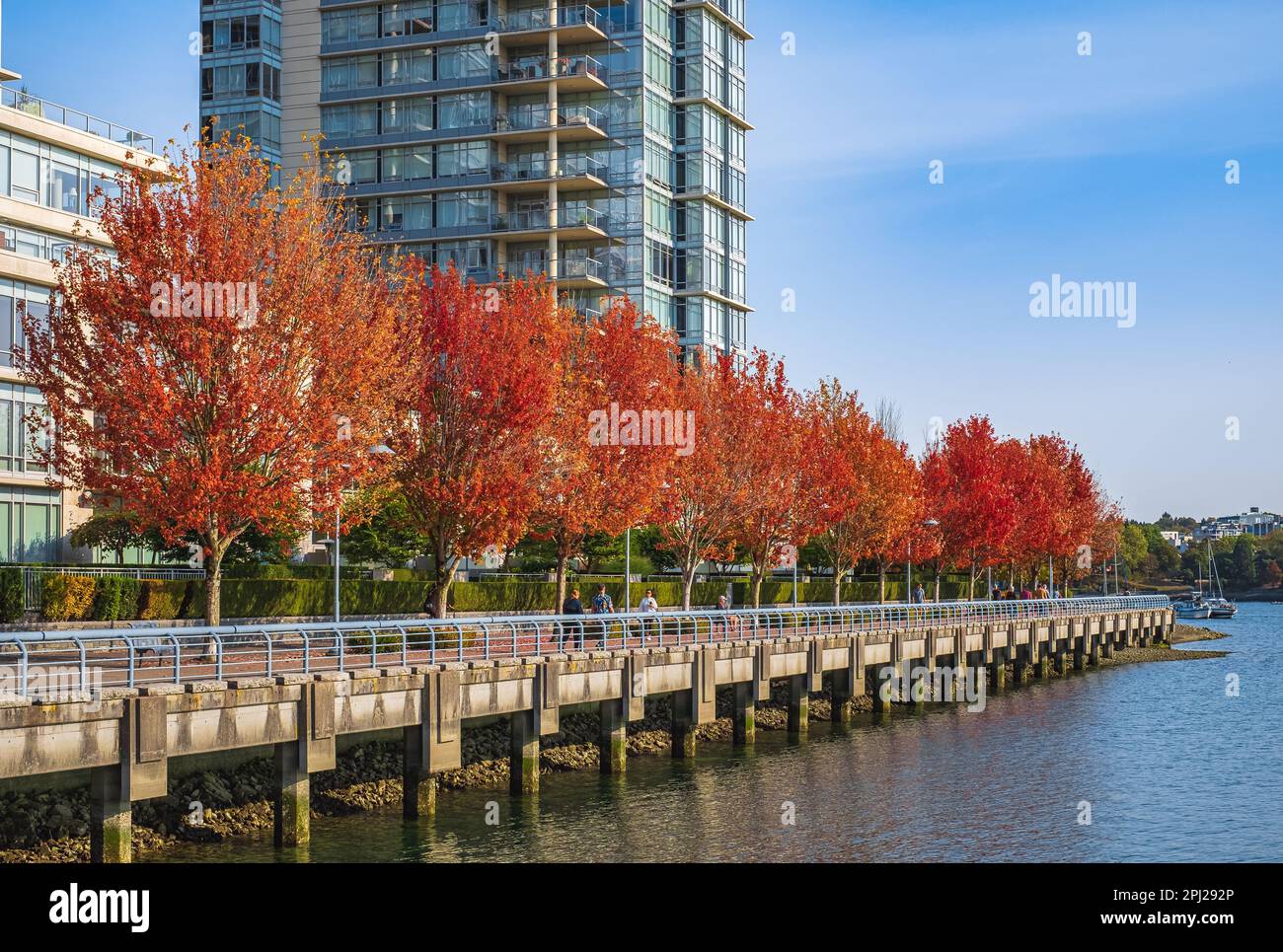 Cityscape in autumn season. Autumn colors of the trees in Vancouver ...