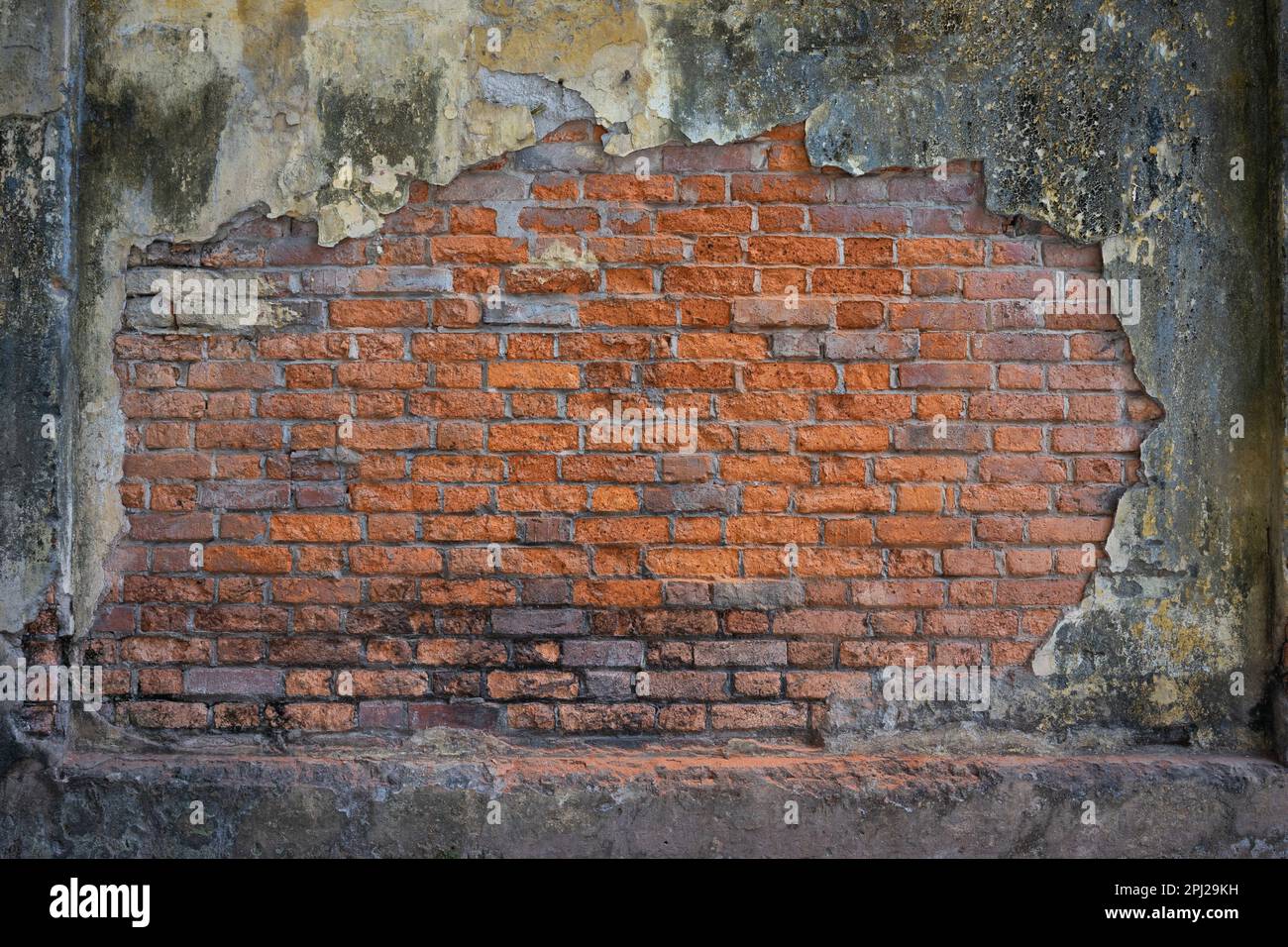 The plaster of an old weathered wall is flaking off in the middle ...