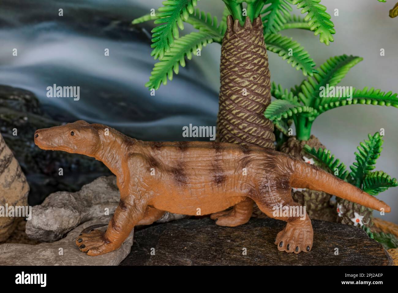 The name of this Late-Permian mammal-like reptile (by Bullyland) means ...