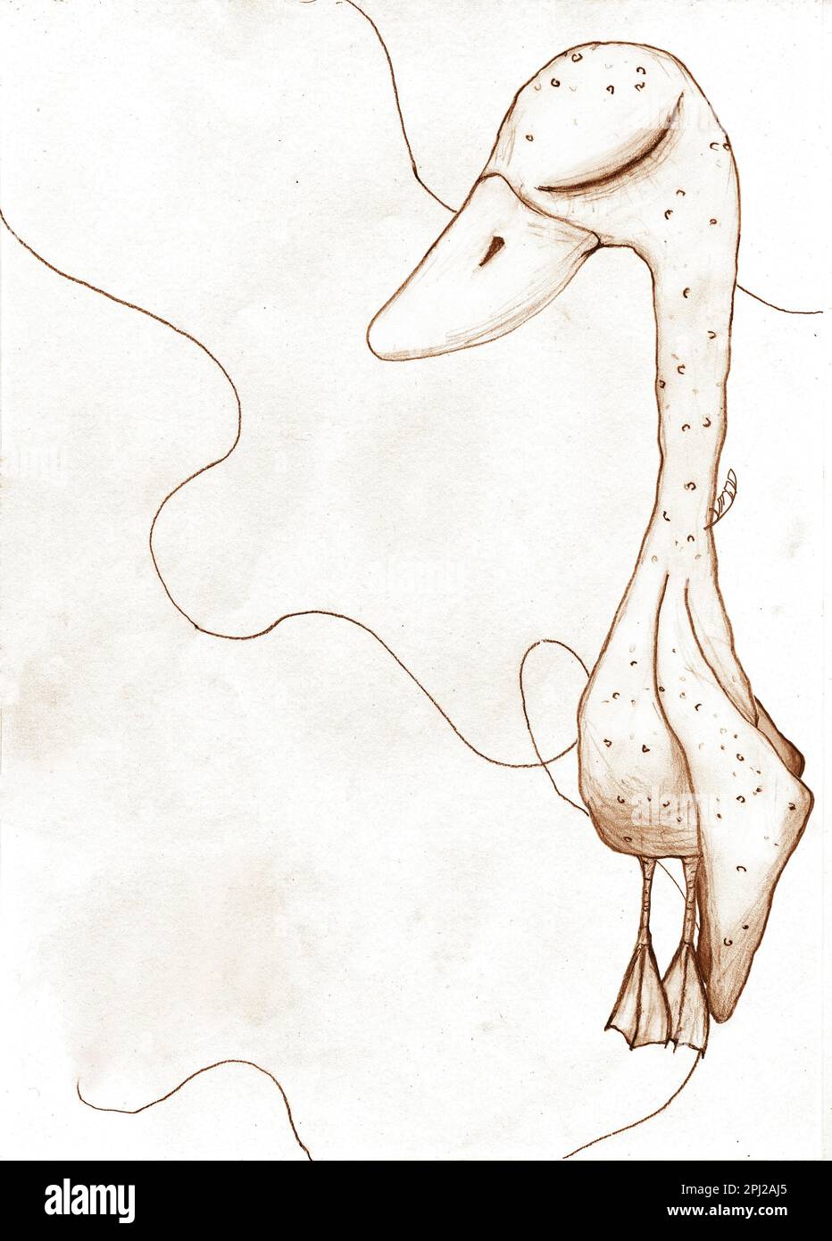 Sadness and poverty concept, depressive plucked sleeping duck pencil ...