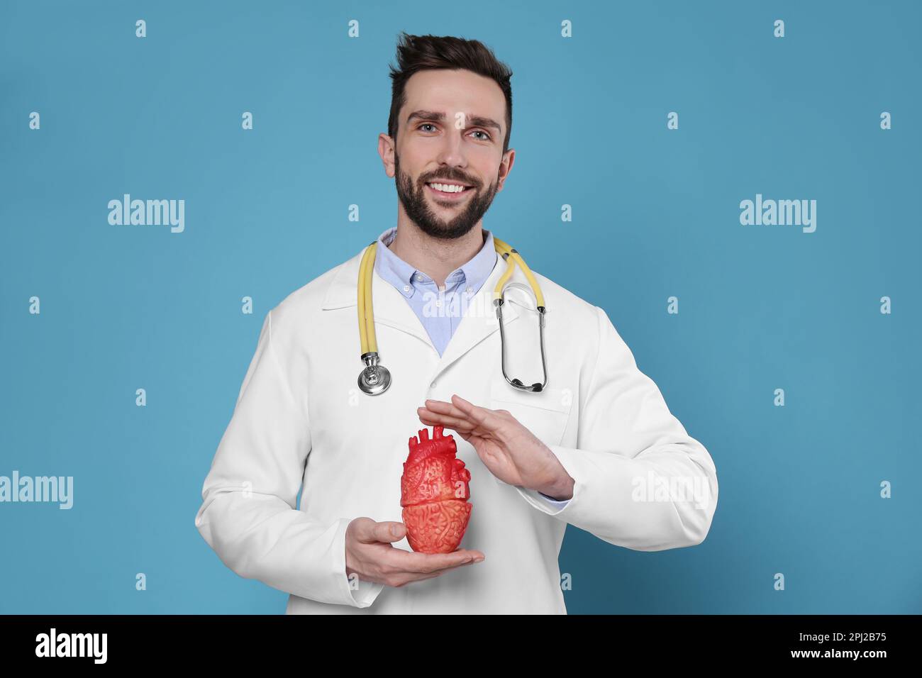 Doctor with stethoscope and model of heart on light blue background ...