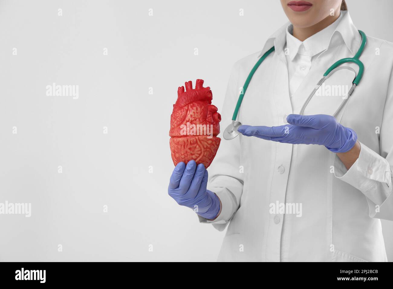 Closeup view of doctor with stethoscope and model of heart on white ...