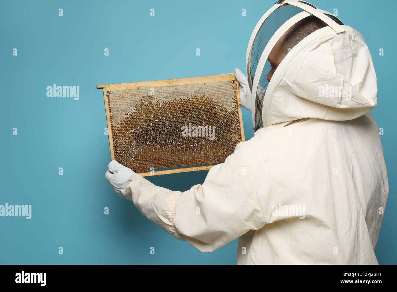 Beekeeper in uniform holding hive frame with honeycomb on light blue ...