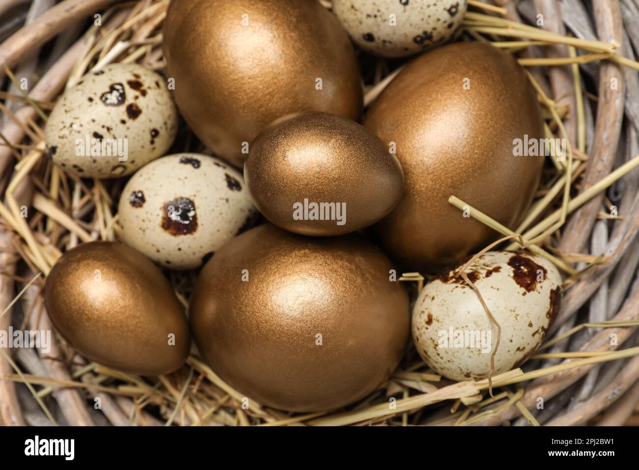 Quail and golden eggs in nest, top view Stock Photo - Alamy