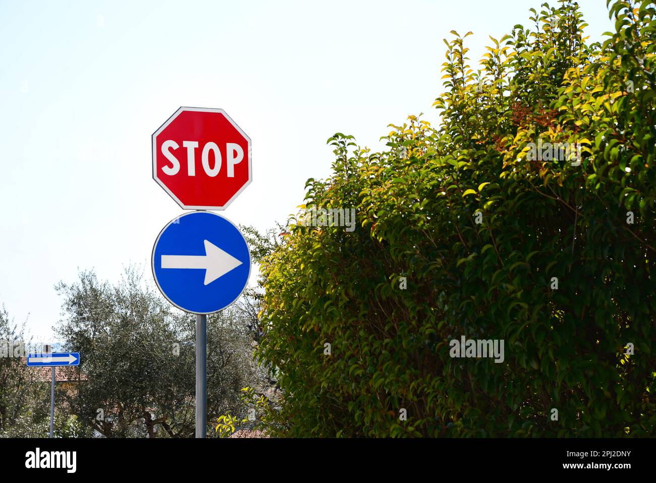 Road signs STOP and PROCEED RIGHT ONLY outdoors Stock Photo - Alamy