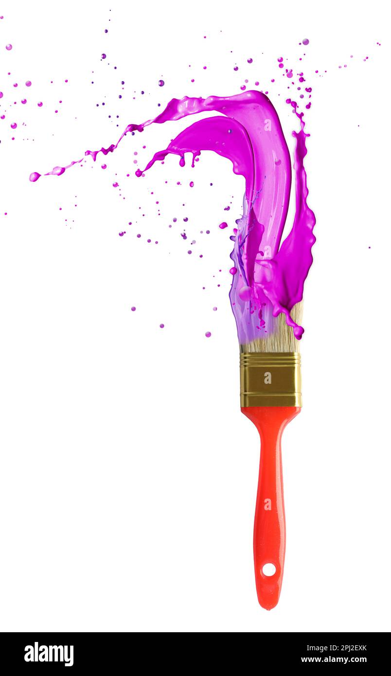 Brush with splashing purple and violet paints on white background Stock ...