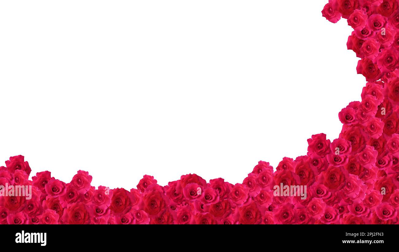 Red roses border isolated on white background with copy space for your ...