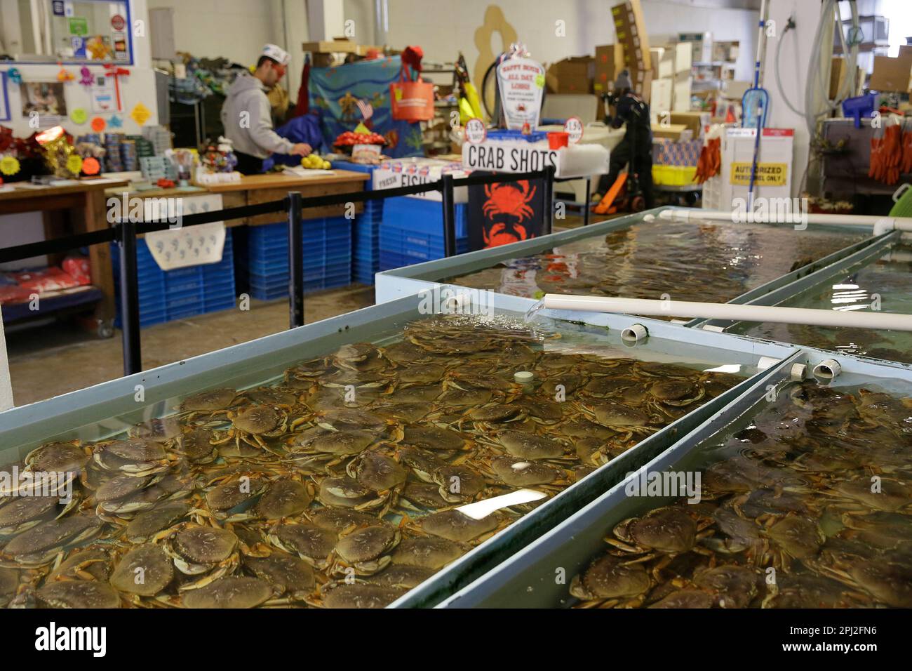FILE - In this Nov. 16, 2018, file photo, fresh Dungeness crabs fill ...