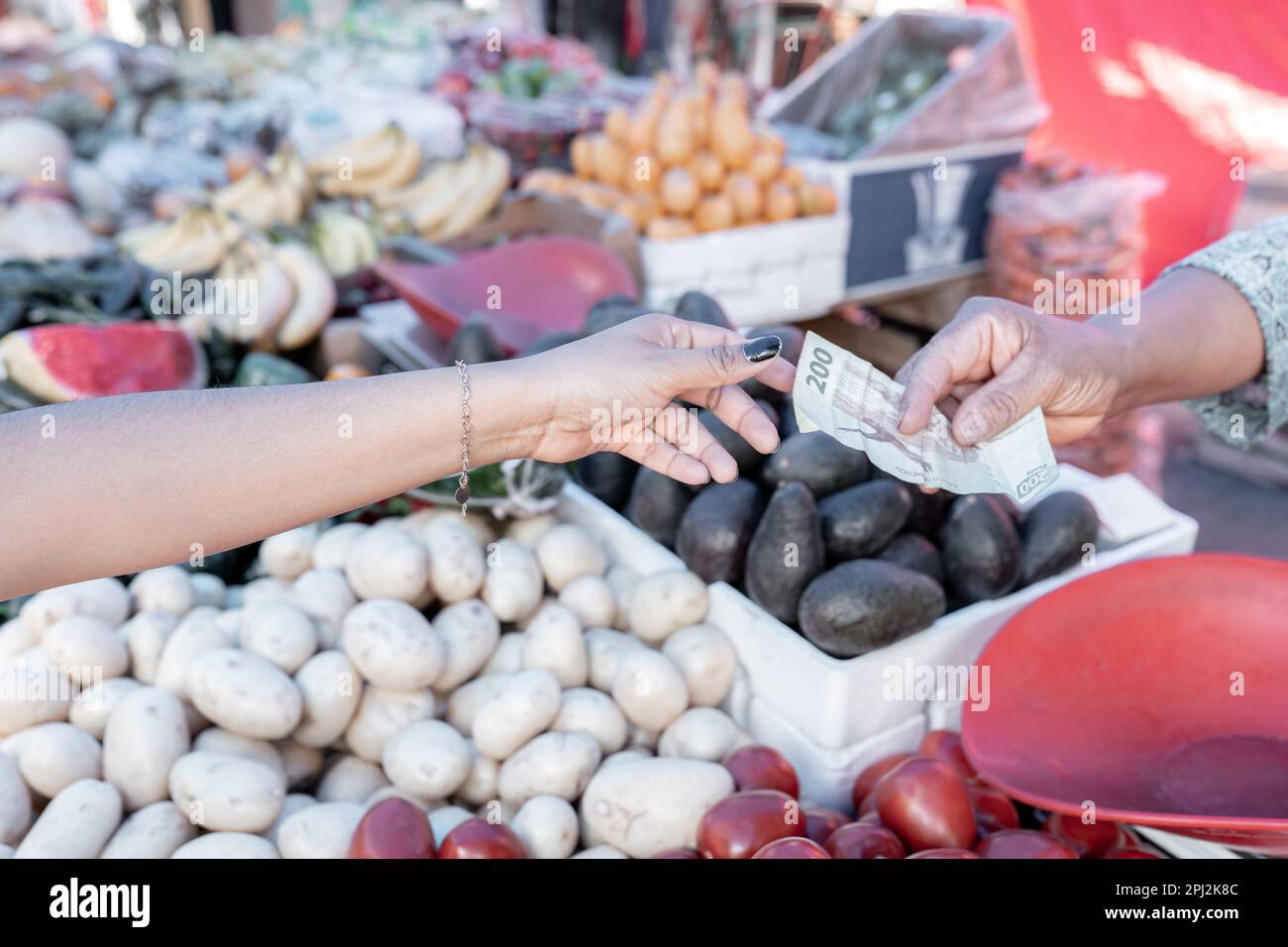 A young Hispanic woman is paying with 200 pesos while doing grocery ...
