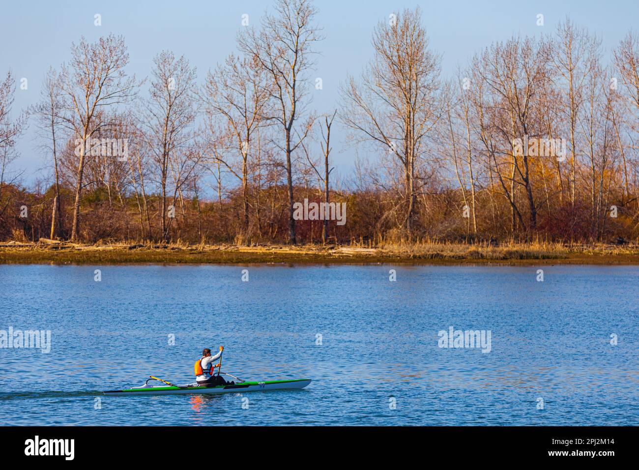 Man in an outrigger kayak paddling in Steveston Inlet British Columbia ...