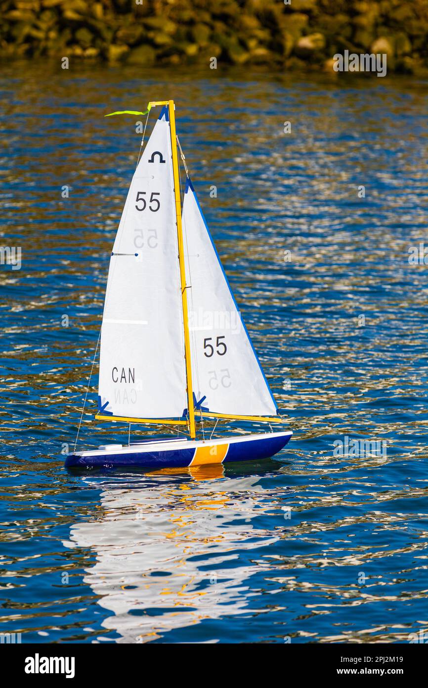 Pontoon boat racing hi-res stock photography and images - Alamy