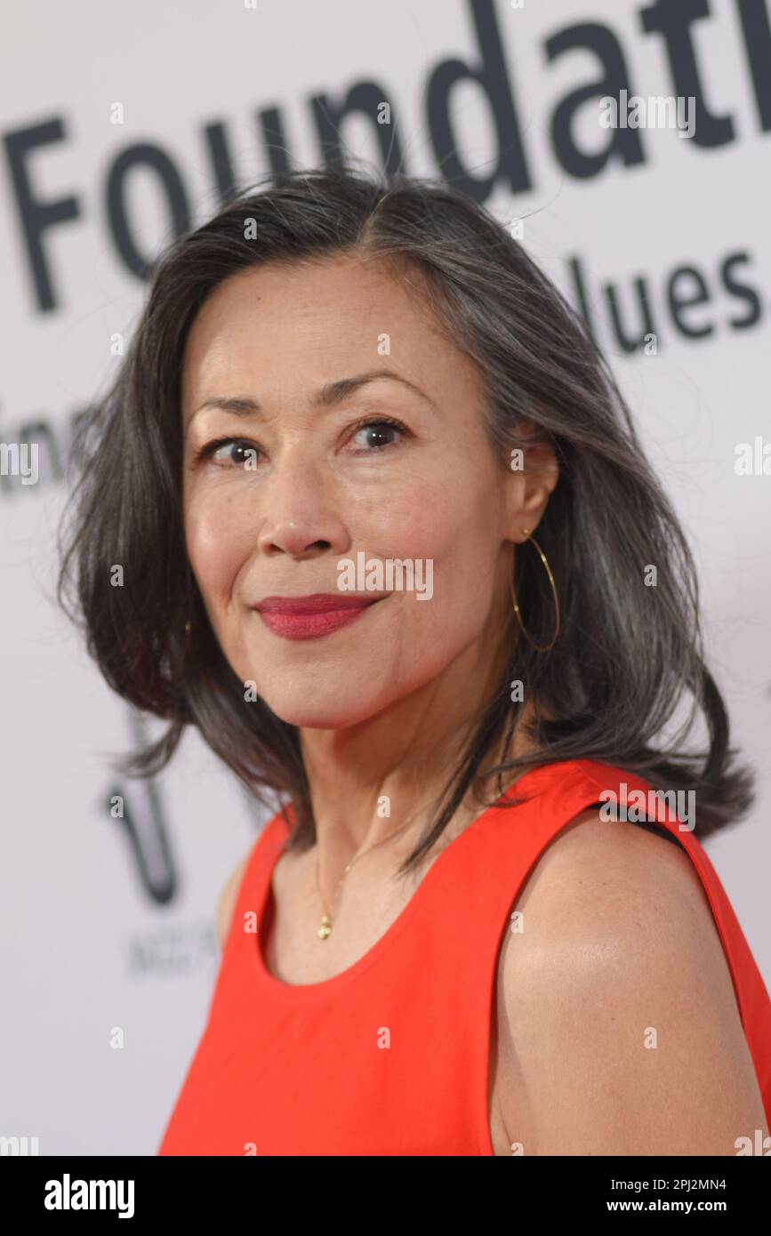 Ann Curry Knee High Boots