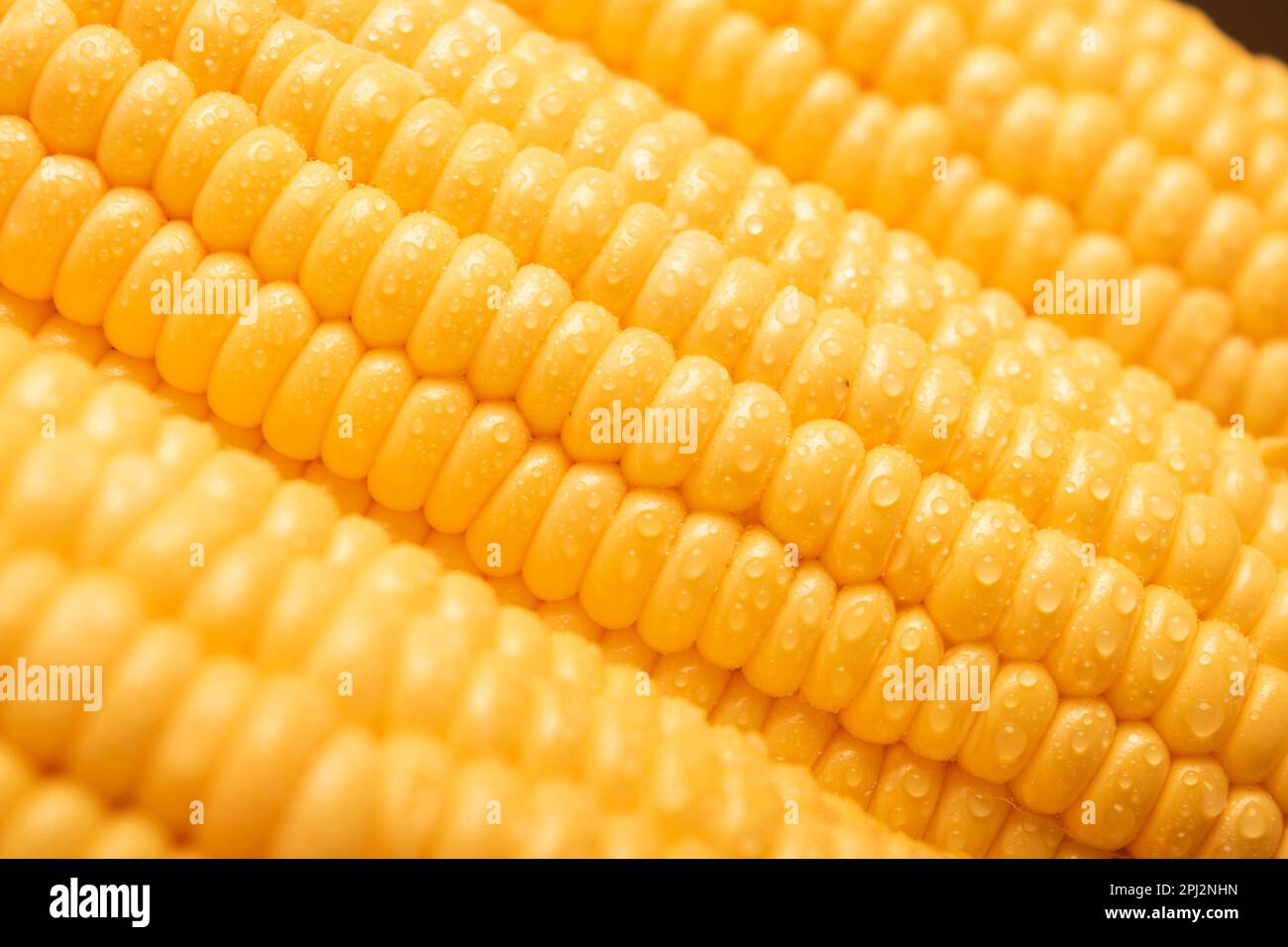 Closeup texture of wet corn background Stock Photo - Alamy