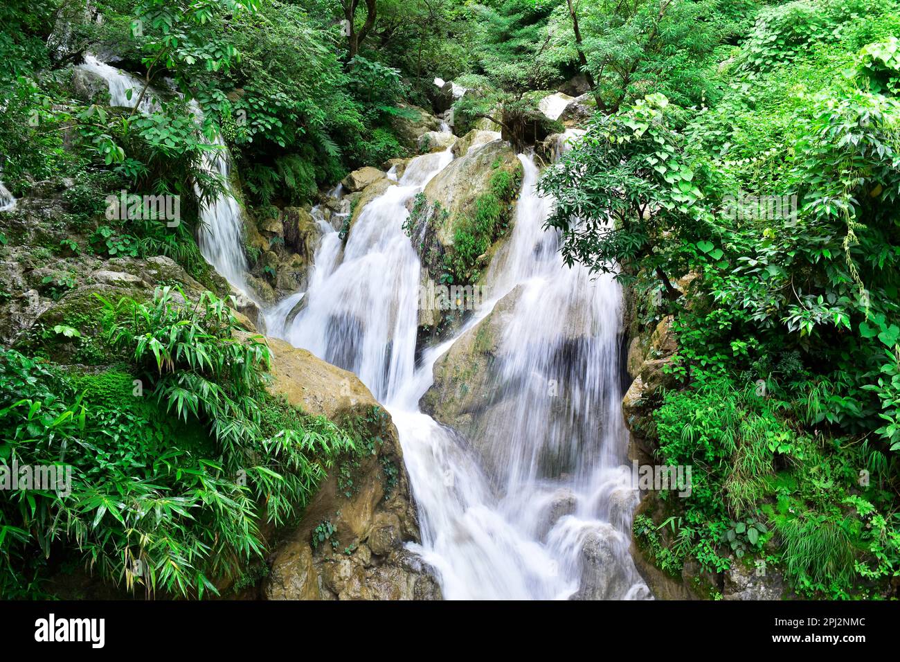 Natural resources of pure water at forest Stock Photo - Alamy