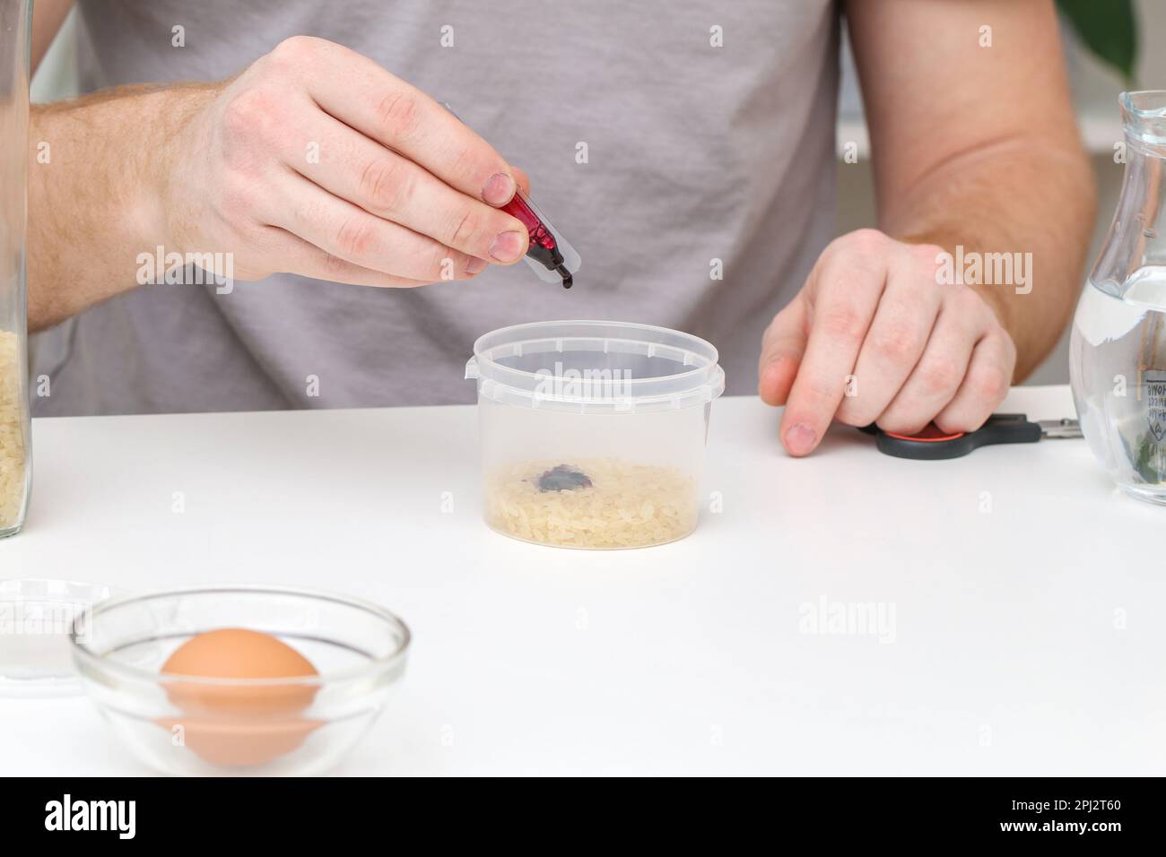 A man drips red dye into a container of rice. An unusual way of ...