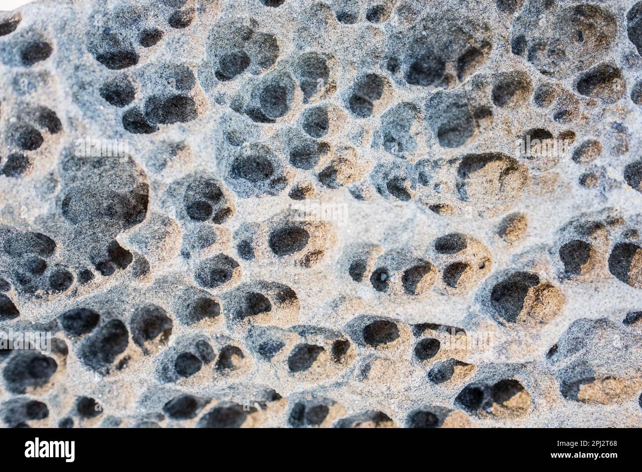 Honeycomb weathered and eroded sandstone rock sea cliffs at the beach ...