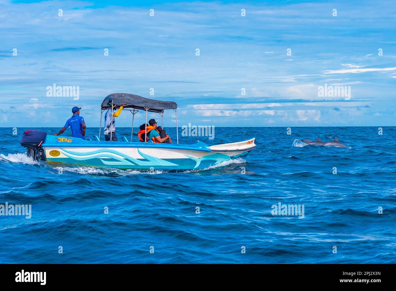 Kalpitiya, Sri Lanka, February 12, 2022: Fishermen fishing among a pod ...
