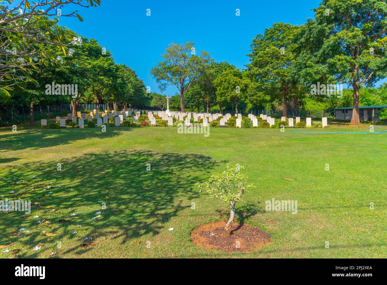 Trincomalee, Sri Lanka, February 6, 2022: Trincomalee War Cemetery in ...