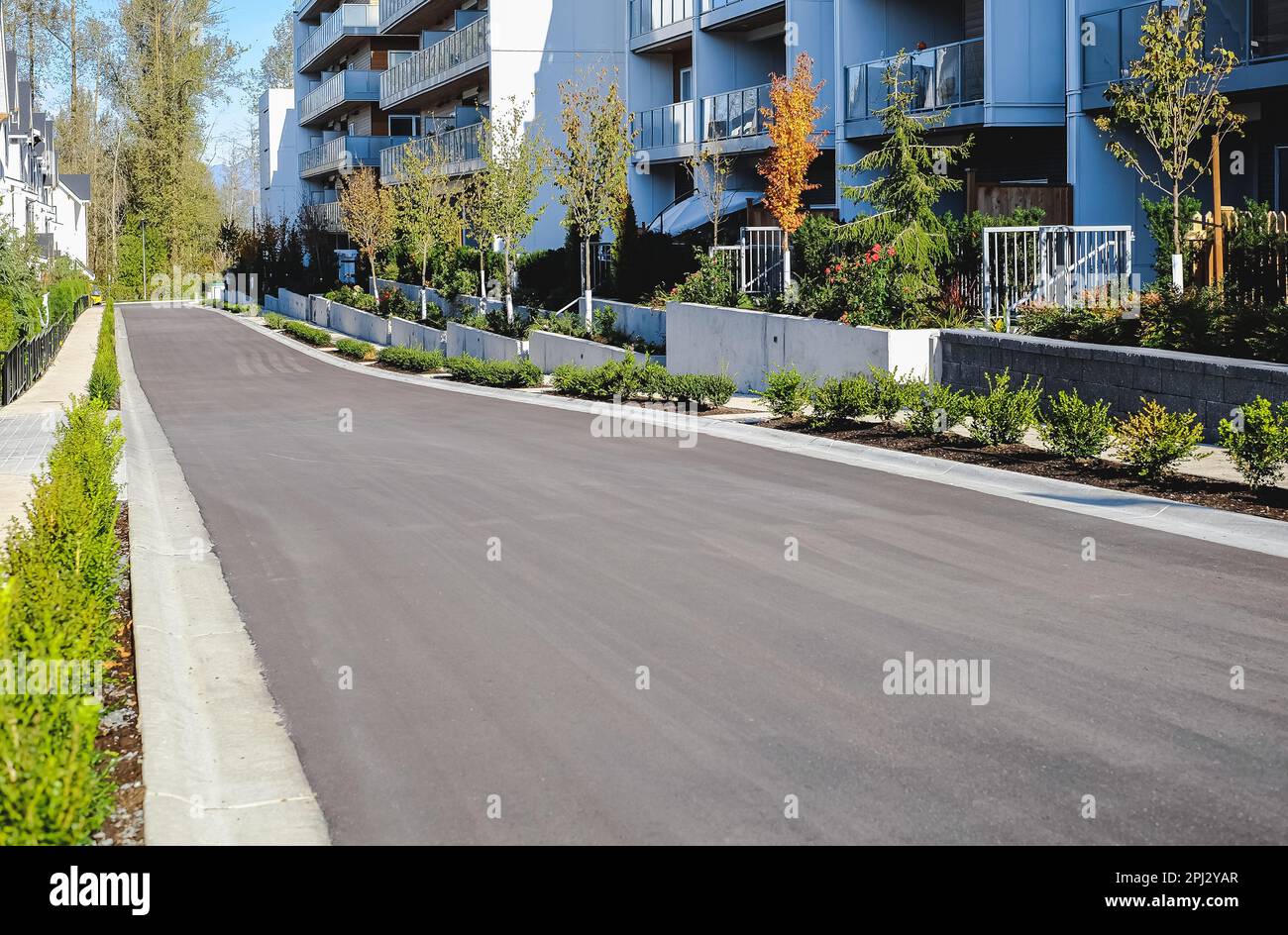 Empty suburban street hi-res stock photography and images - Alamy