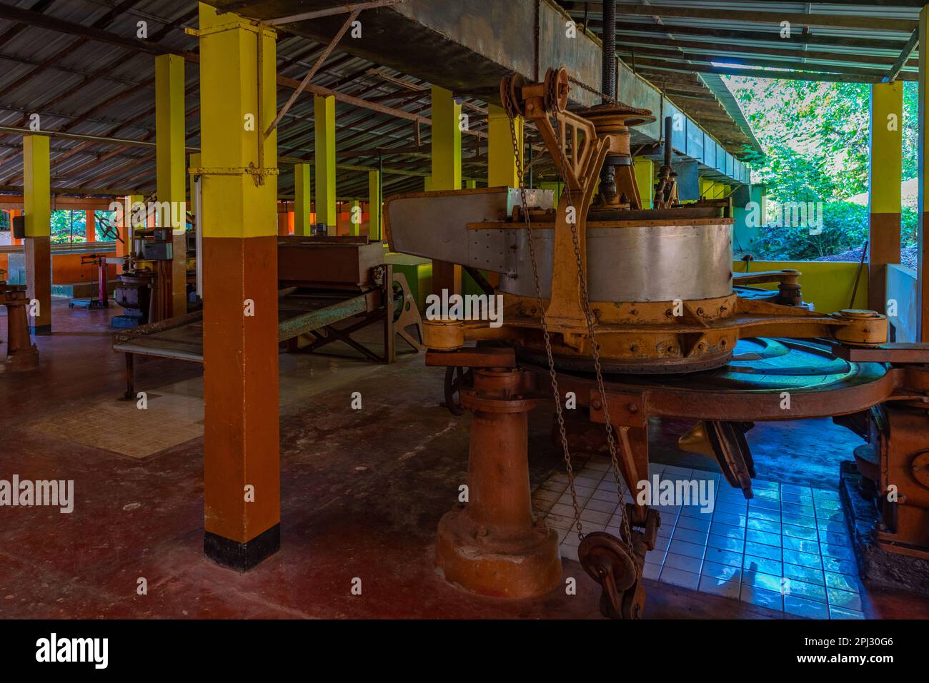 Handunugoda tea plantation hi-res stock photography and images - Alamy