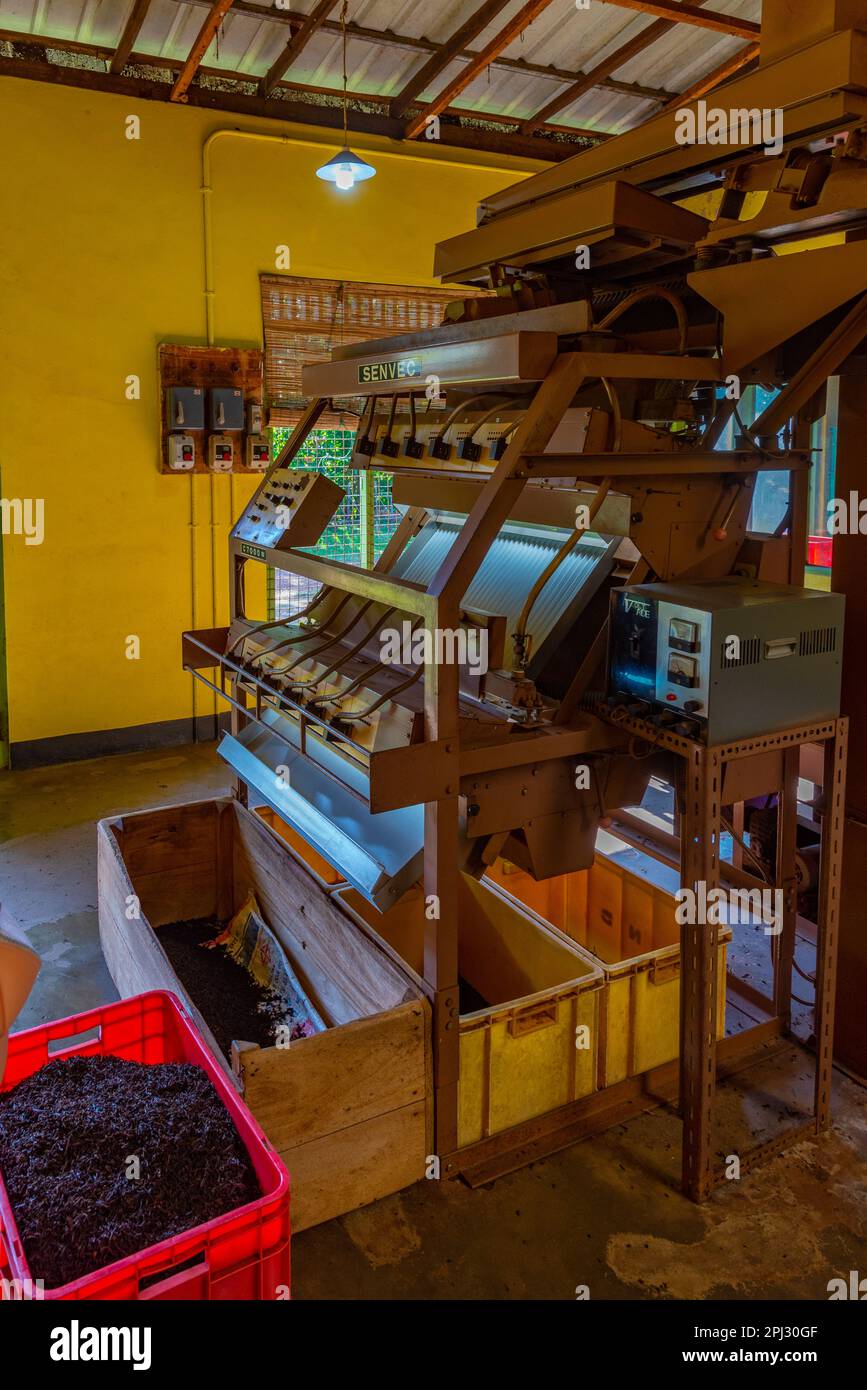 Koggala, Sri Lanka, January 21, 2022: Inside of a tea processing plant ...