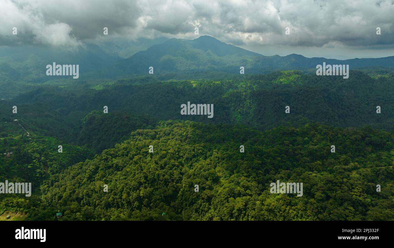 Mountain slopes covered with rainforest and jungle view from above ...