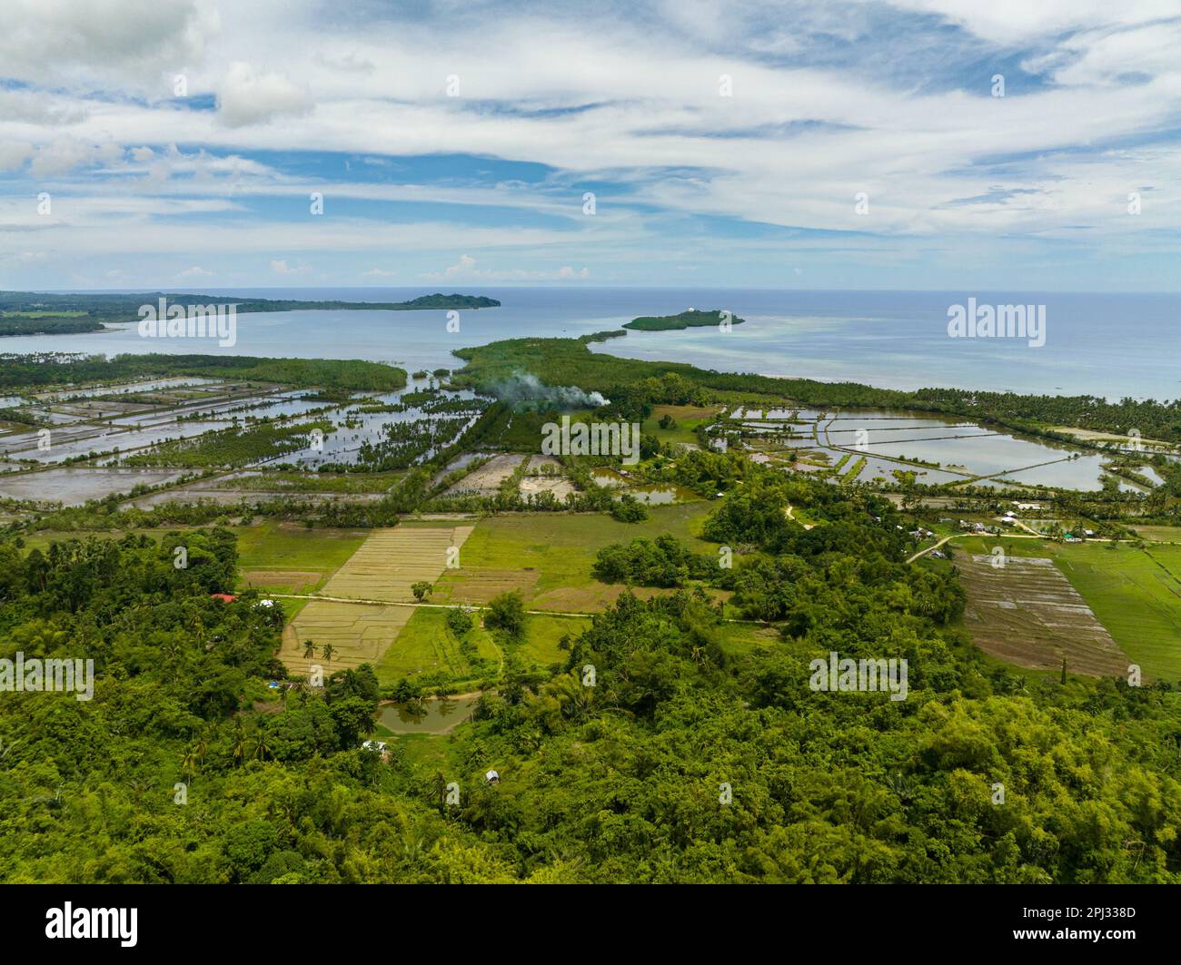 Farmland on the coast in the tropics. Agricultural land and rice fields ...
